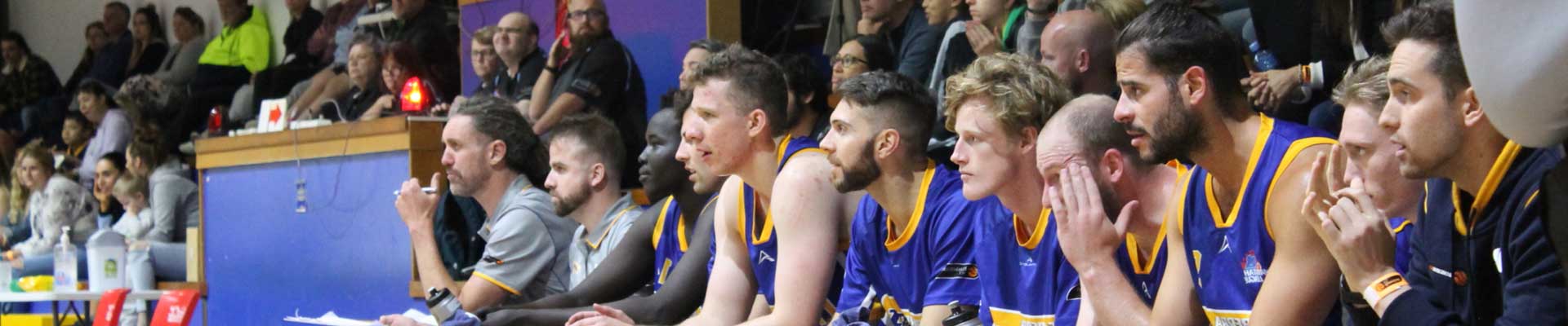 Insurance - Basketball ACT